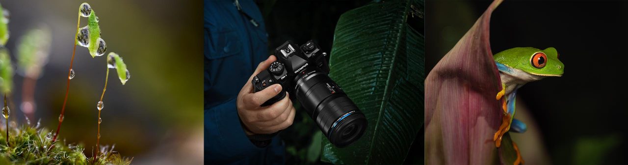 Olympus Ultraweitwinkelobjektiv jetzt im Fotofachhandel - RINGFOTO AT